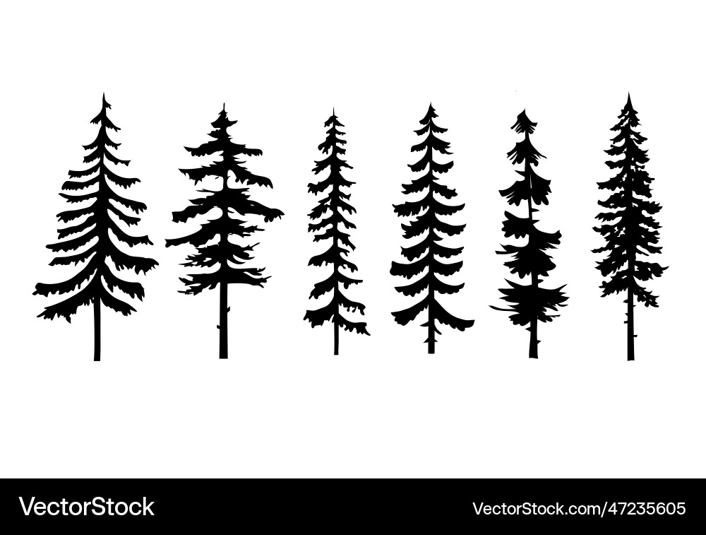 Collection of pine trees Royalty Free Vector Image