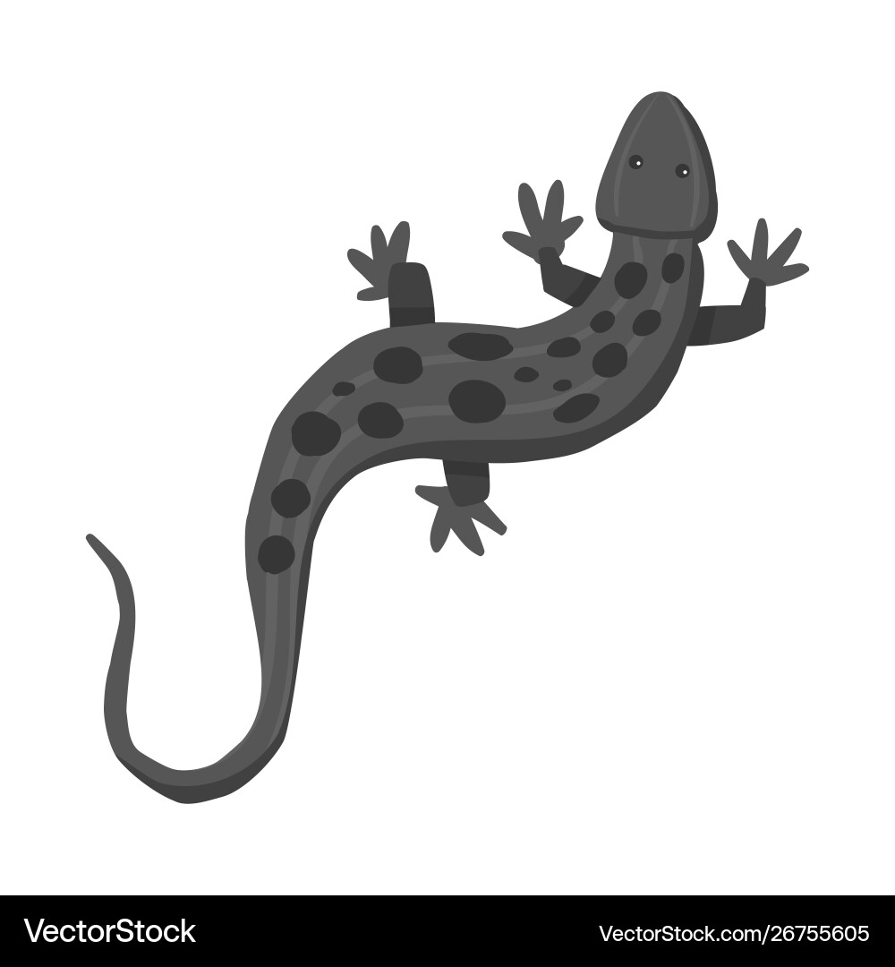 Lizard and green sign set Royalty Free Vector Image