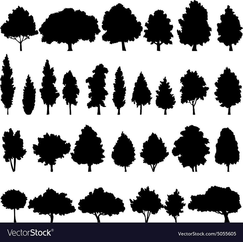 Set different deciduous trees Royalty Free Vector Image
