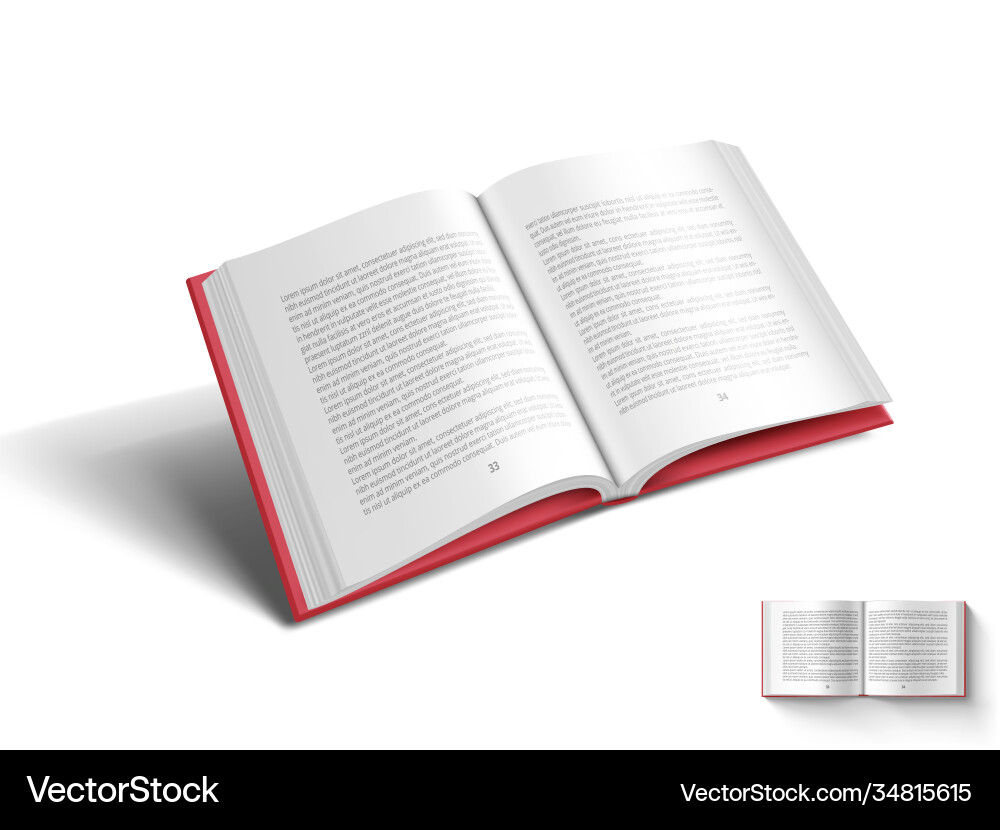 3d blank a4 magazine flying on white background Vector Image