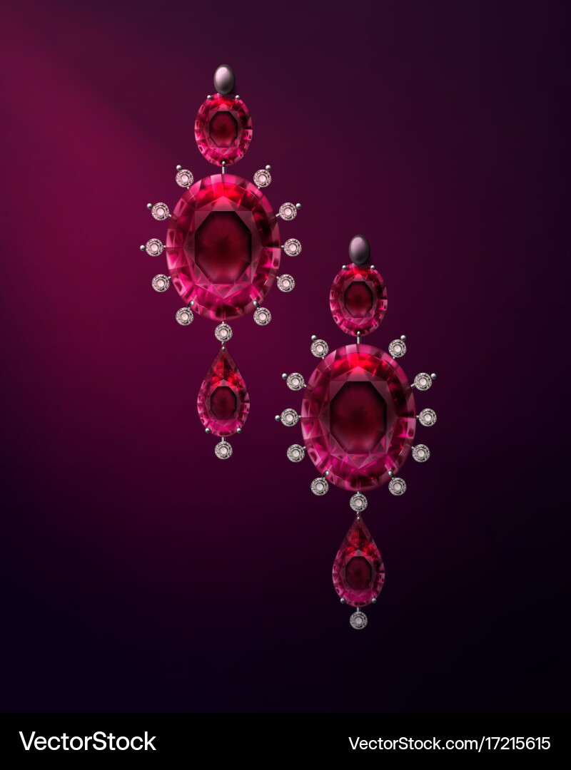 Pair of earrings Royalty Free Vector Image - VectorStock
