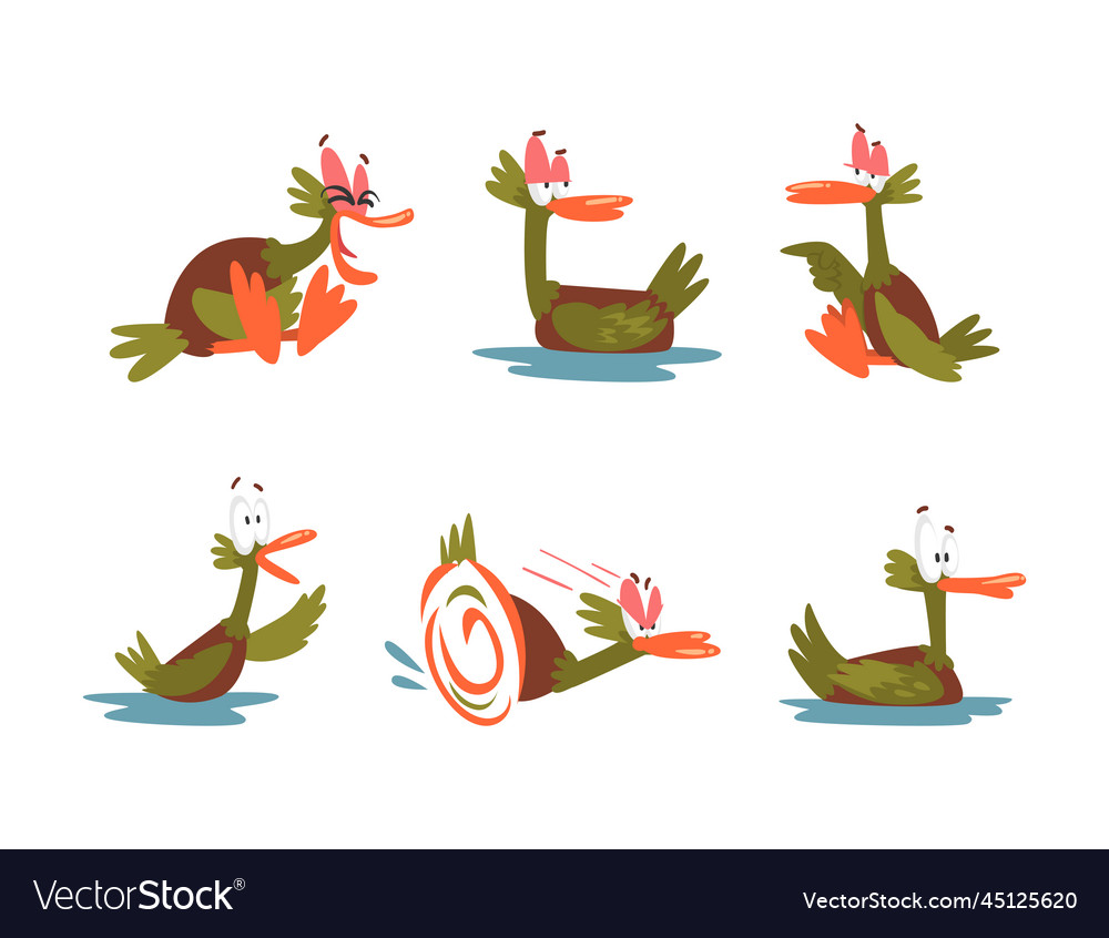 Funny green dabbling duck character as feathered Vector Image