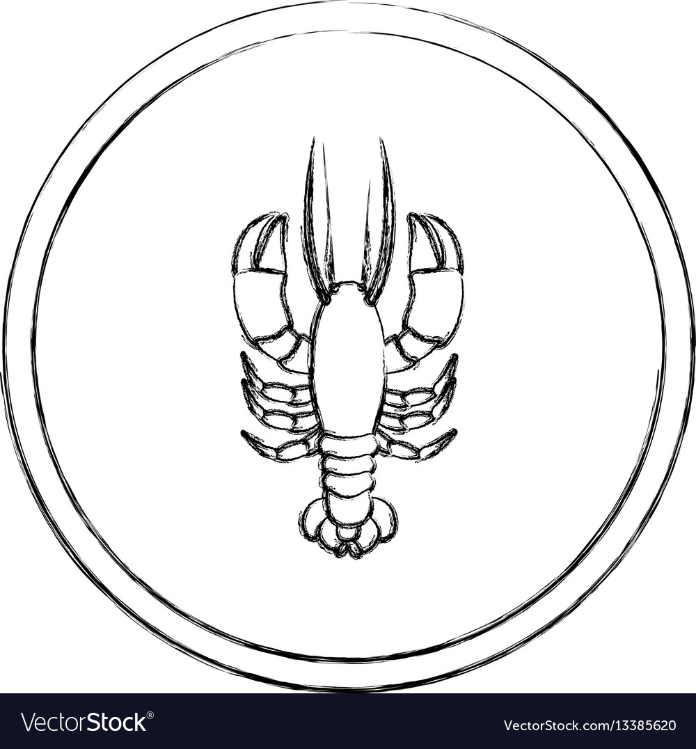Monochrome blurred line contour with lobster Vector Image Monochrome blurred line contour with lobster Vector Image