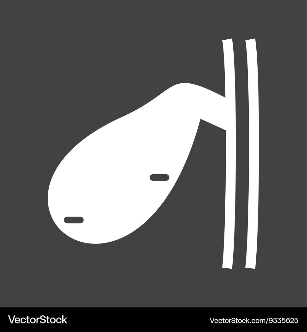 Gallbladder Royalty Free Vector Image - VectorStock