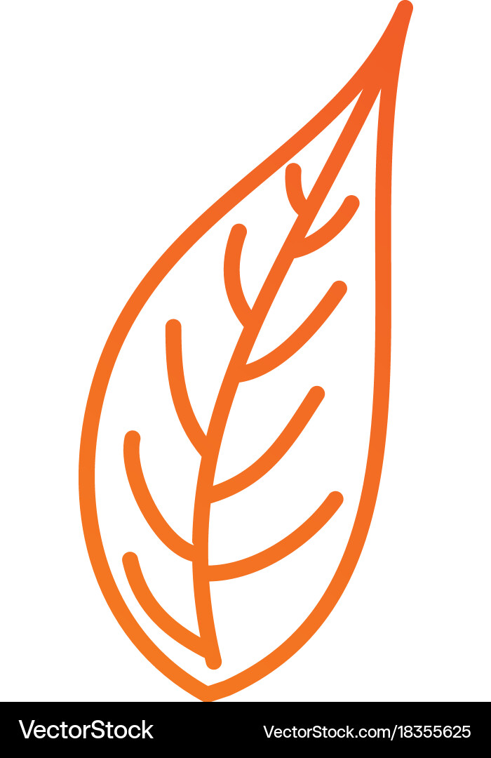 Leaf natural foliage botanical vegetation icon Vector Image