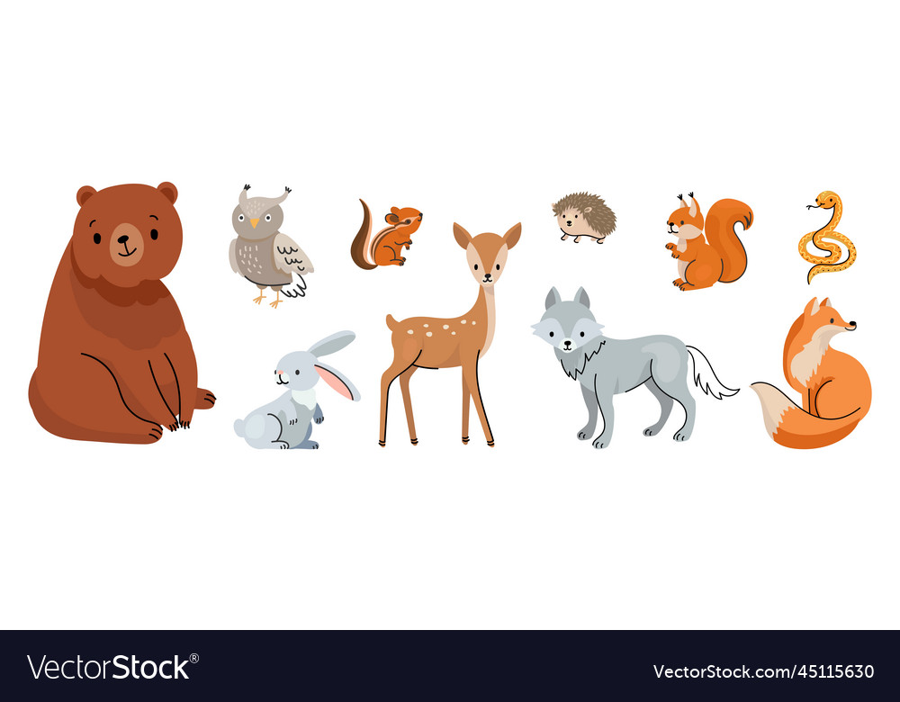Doodle forest animals owl deer and cute bear Vector Image