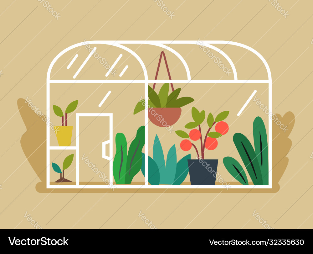 Greenhouse with plants and vegetables inside Vector Image