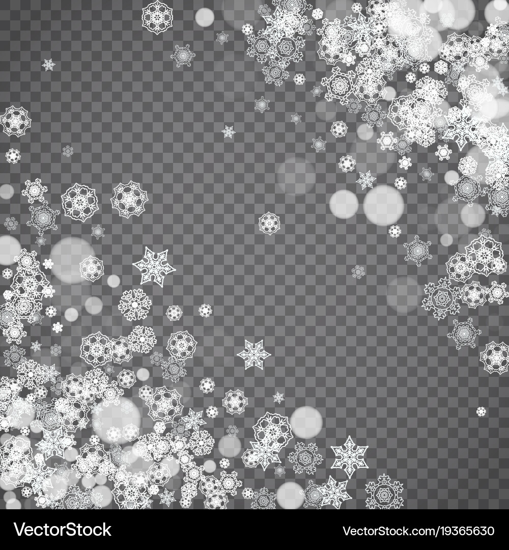 Isolated snowflakes on transparent grey background