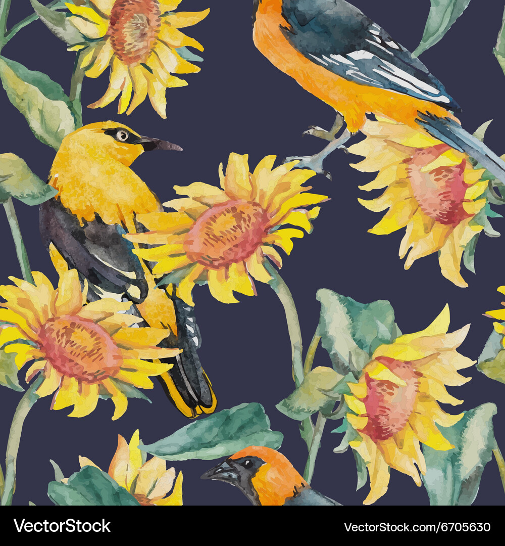 Sunflowers and oriole pattern watercolor Vector Image