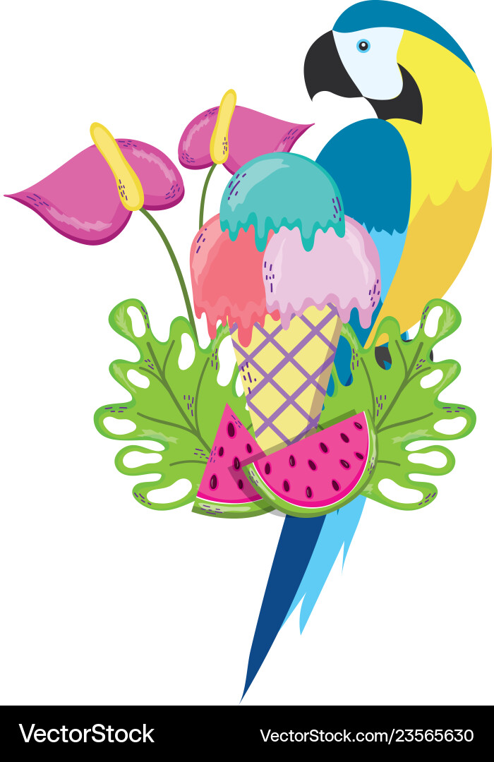 Tropical bird parrot cartoon Royalty Free Vector Image