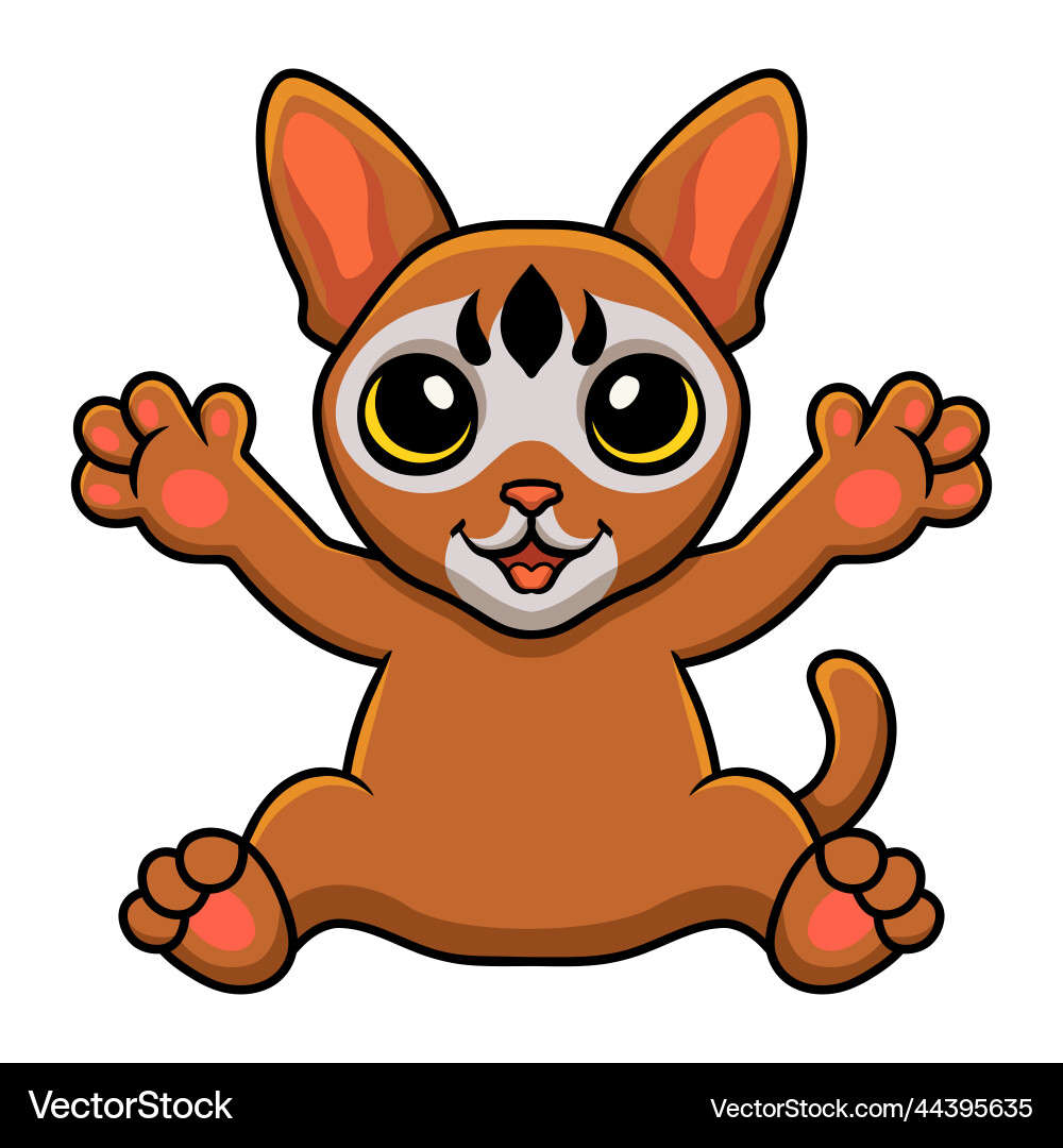 Cute abyssinian cat cartoon sitting Royalty Free Vector