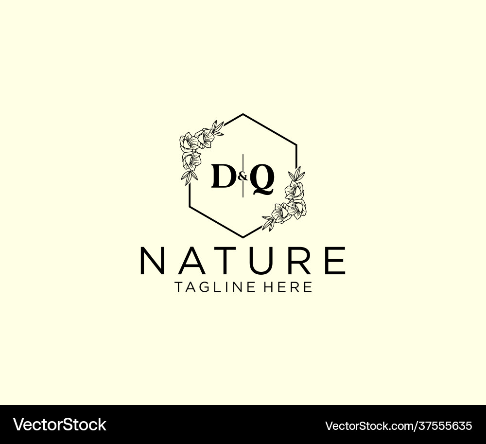 Initial dq letters botanical feminine logo Vector Image
