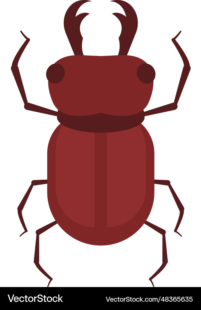 Isolated colored beetle insect animal icon Vector Image