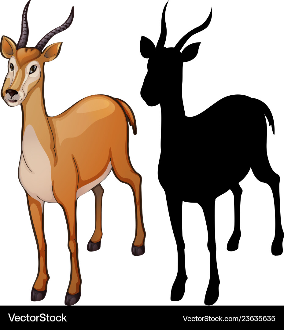 Set of gazelle design Royalty Free Vector Image