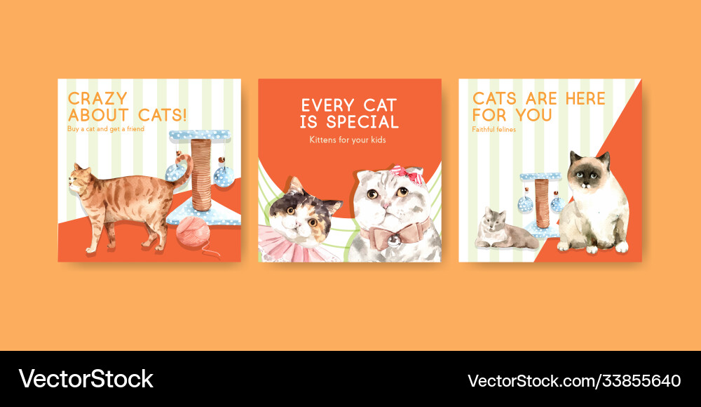 Advertise template design with cat for leaflet Vector Image