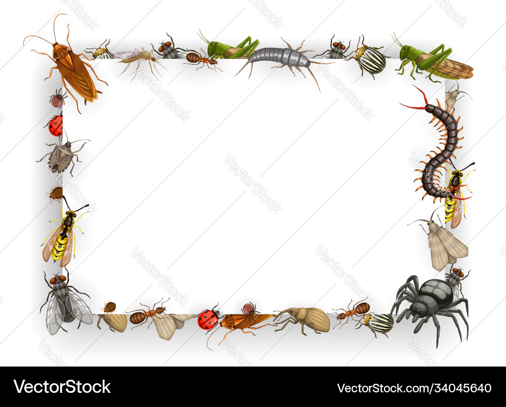 Frame with insects cartoon parasites border Vector Image