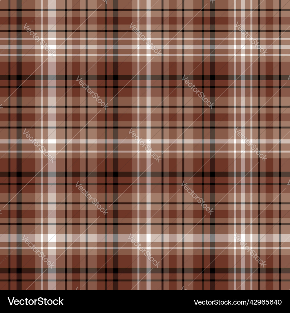 Seamless pattern in brown white and black colors Vector Image