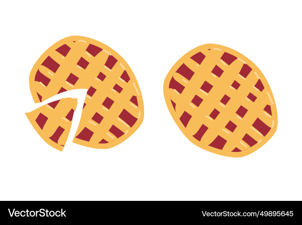 Hand drawn fruit pie in traditional cooking Vector Image