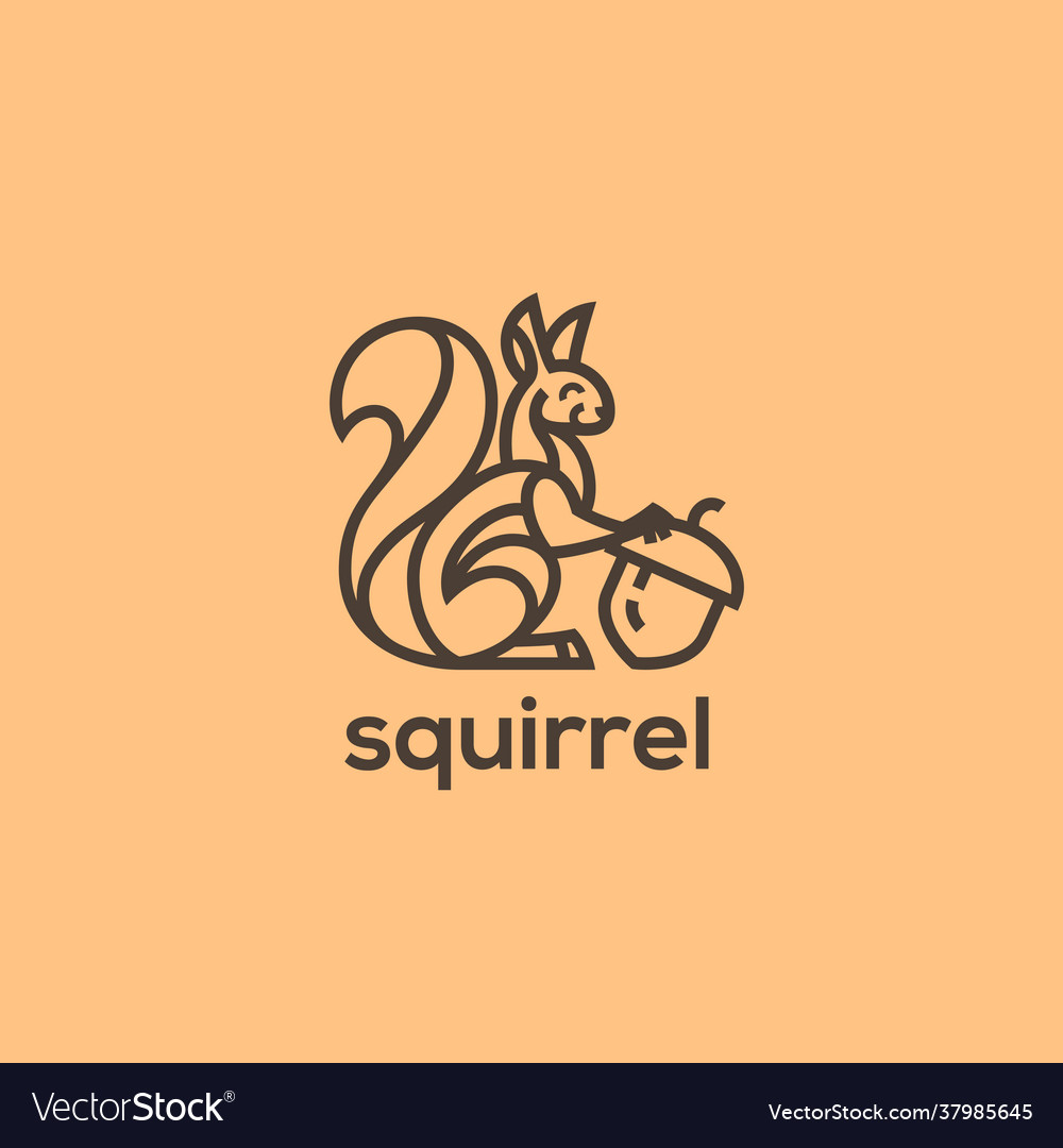 Squirrel logo Royalty Free Vector Image - VectorStock