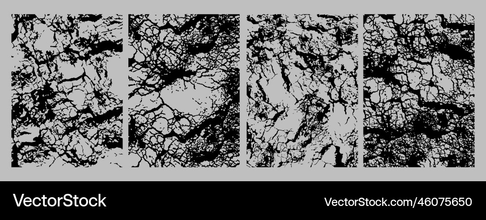 Cracks texture white and black background Vector Image