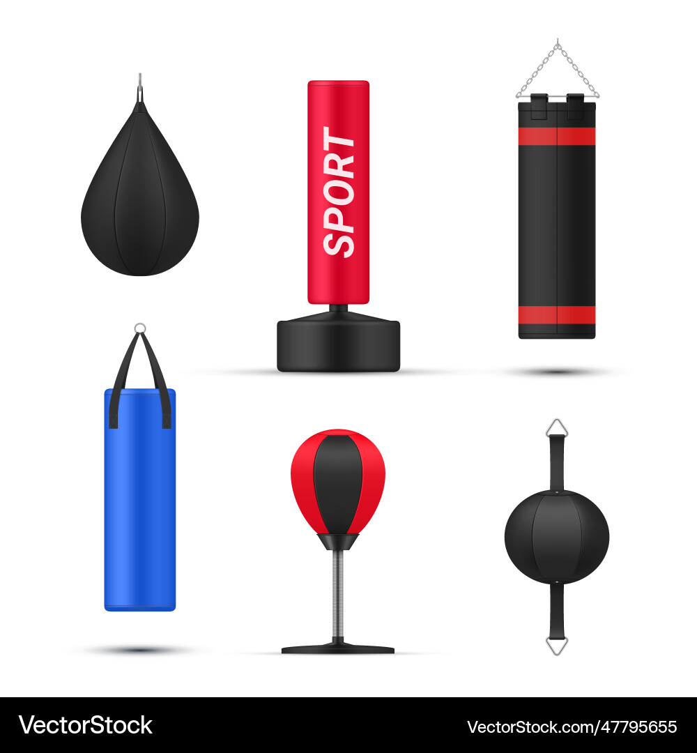 Punching bags different shape athlete boxing Vector Image