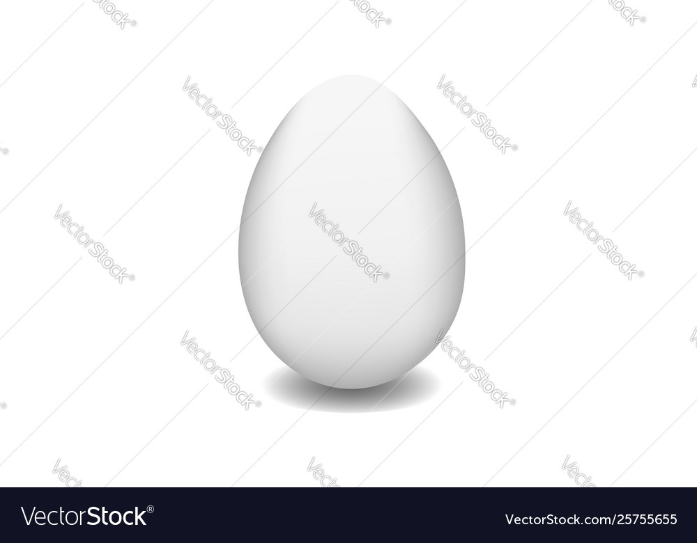 White egg Royalty Free Vector Image - VectorStock