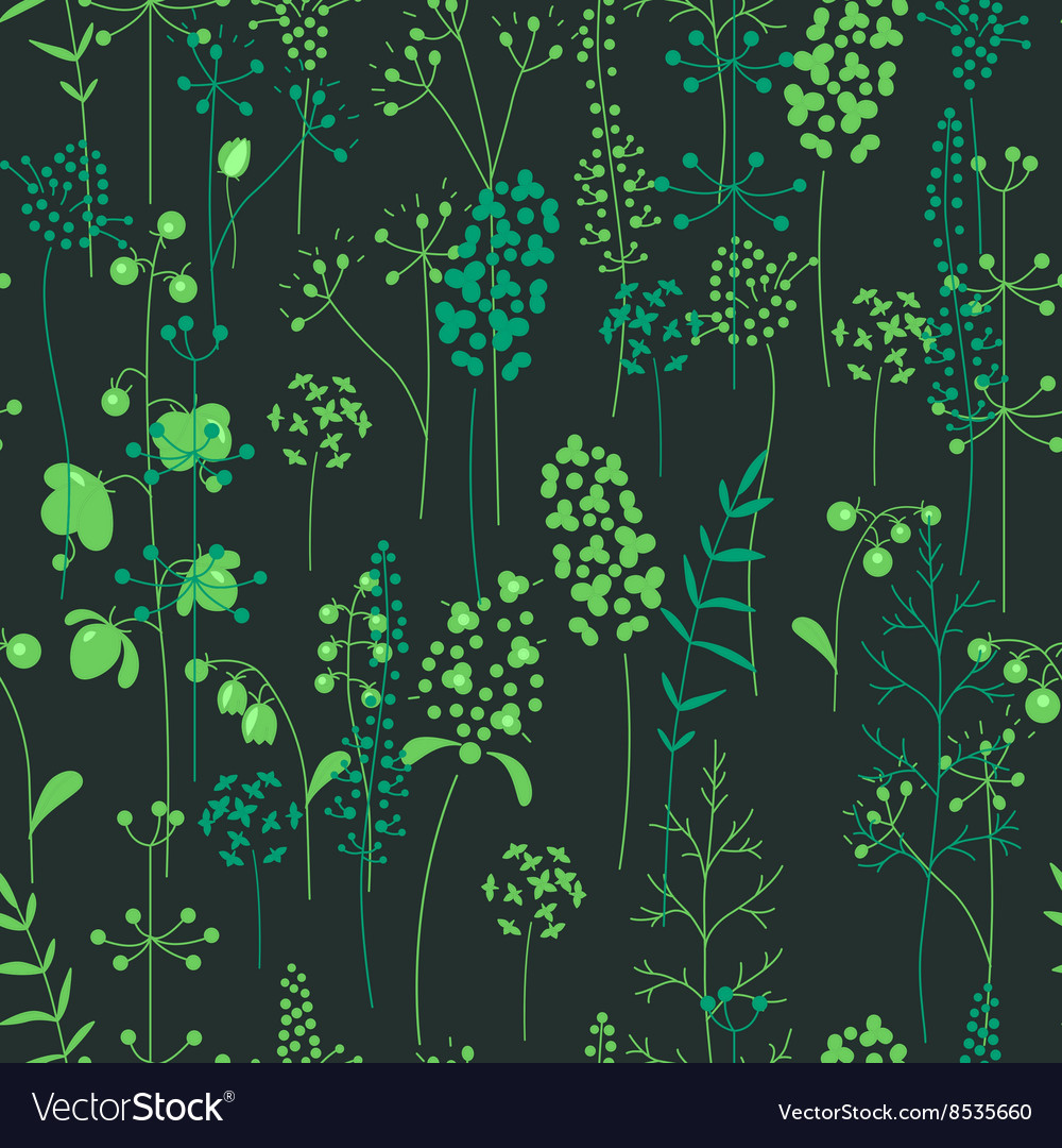 Botanical Herb Pattern Royalty Free Vector Image