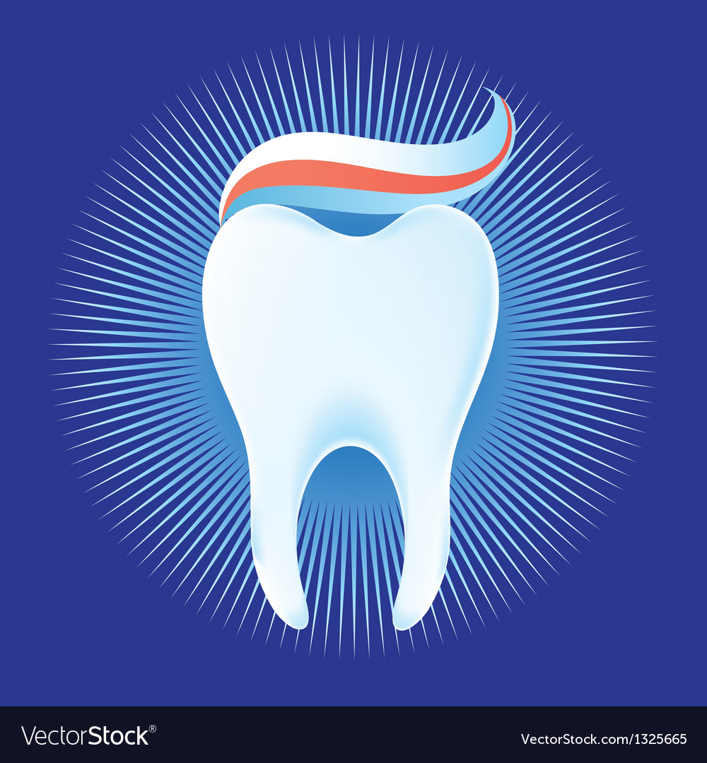 Healthy tooth Royalty Free Vector Image - VectorStock