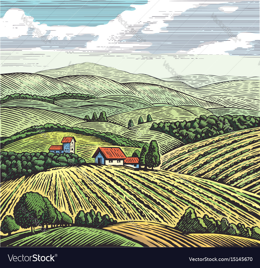 Graphical landscape Royalty Free Vector Image - VectorStock