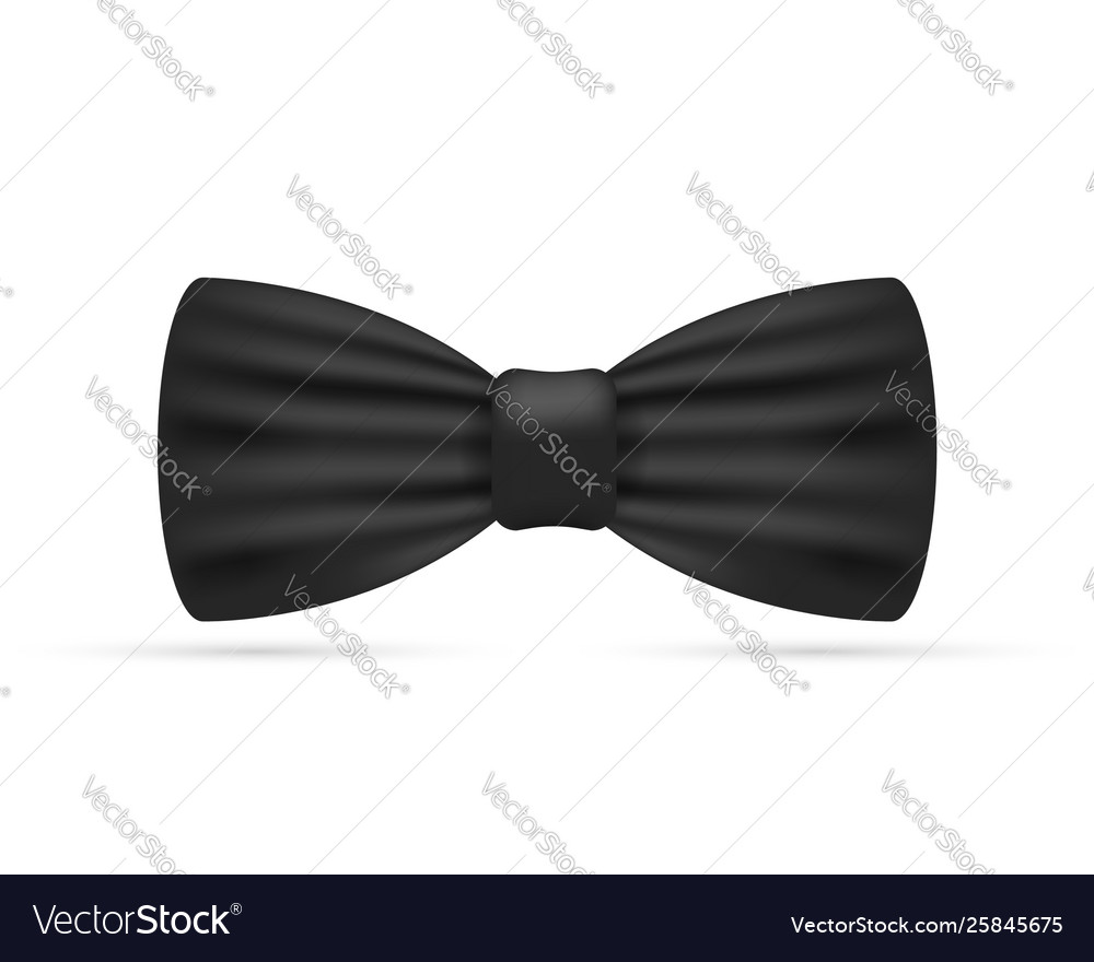Bowtie black bow tie realistic stock isolated Vector Image
