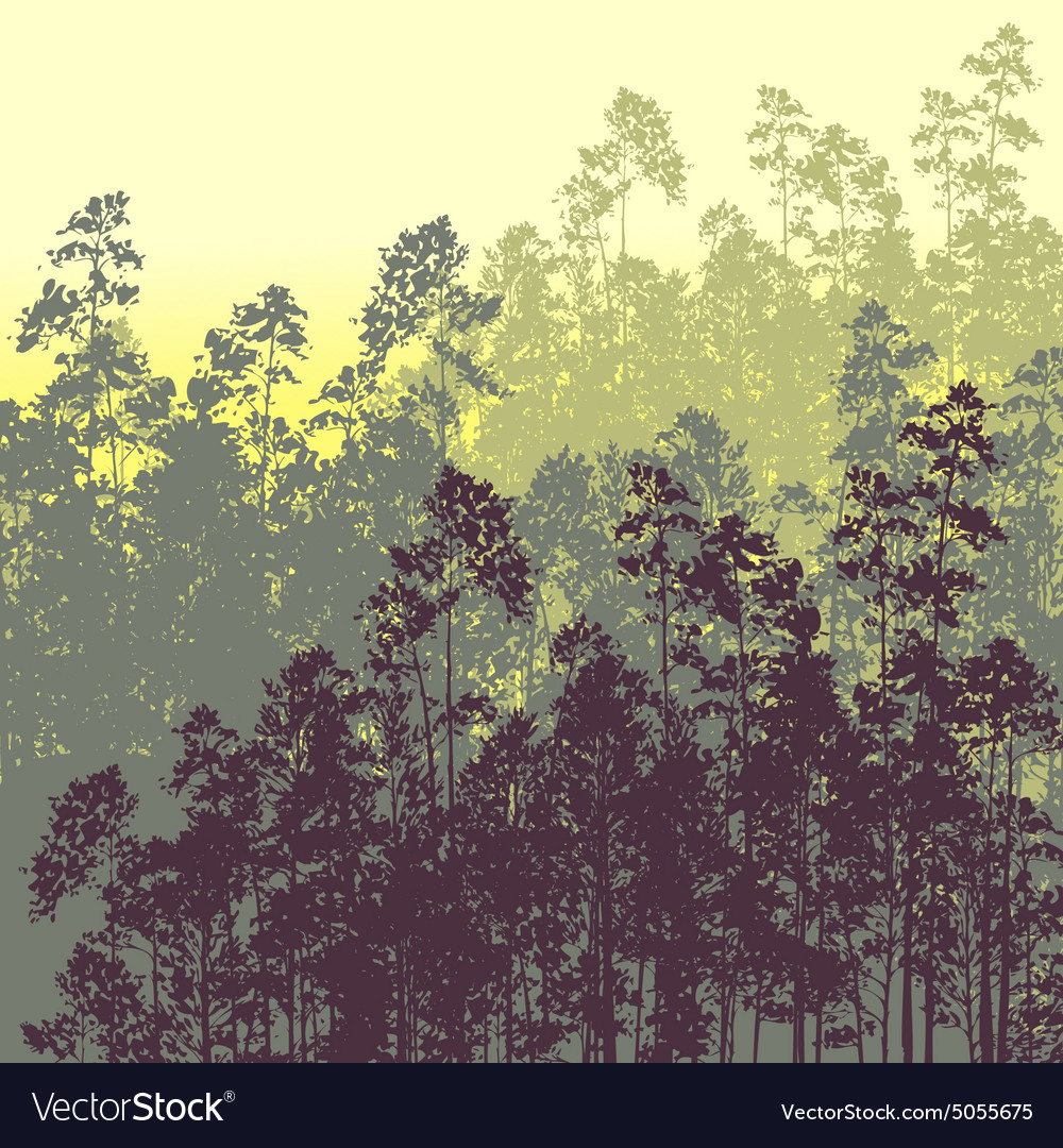 Landscape with pine trees Royalty Free Vector Image