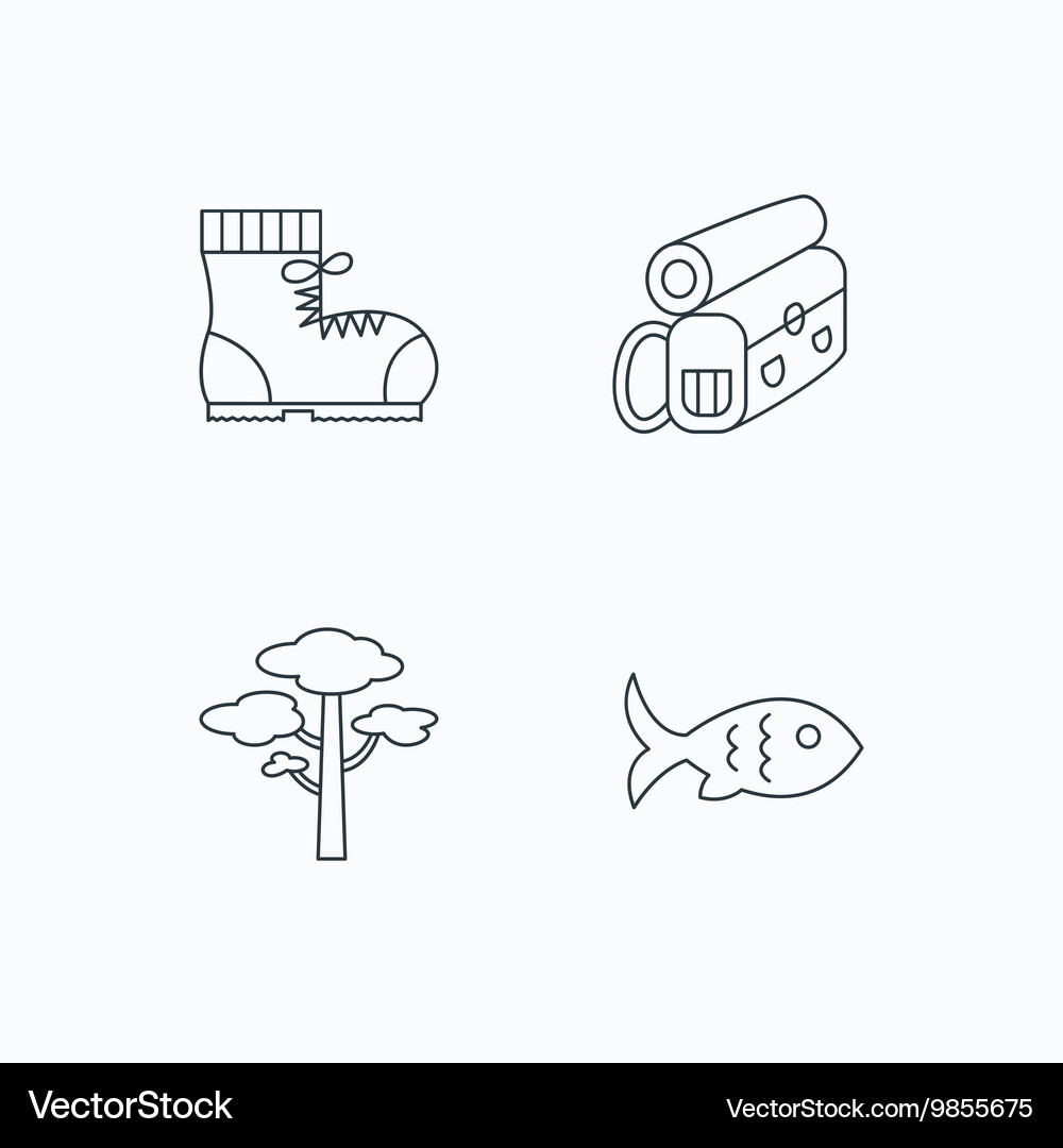 Pine tree fish and hiking boots icons Royalty Free Vector
