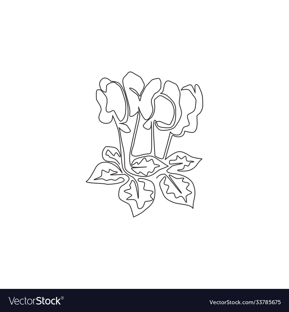 Single One Line Drawing Beauty Fresh Cyclamen Vector Image