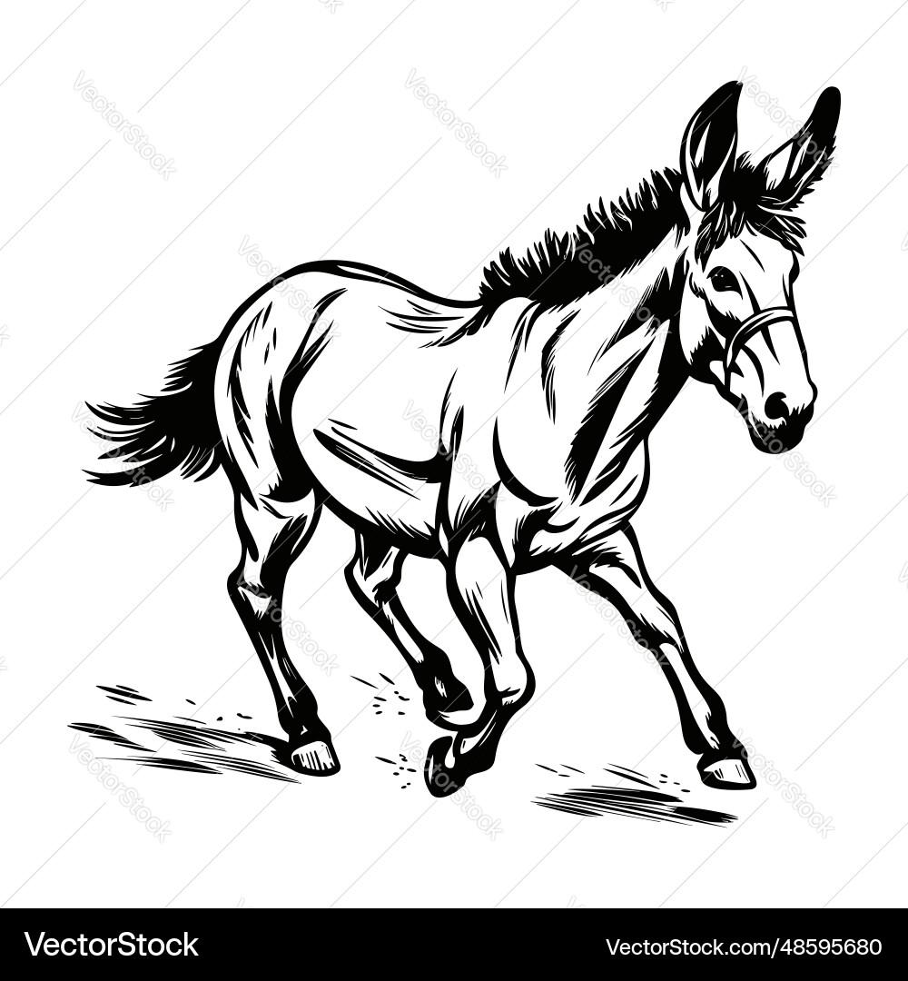 Cute running donkey in minimalist style Royalty Free Vector