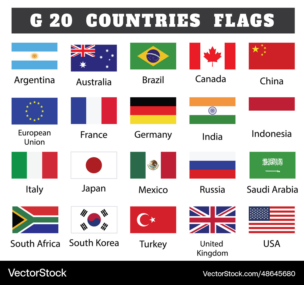 G 20 countries flags collection Royalty Free Vector Image