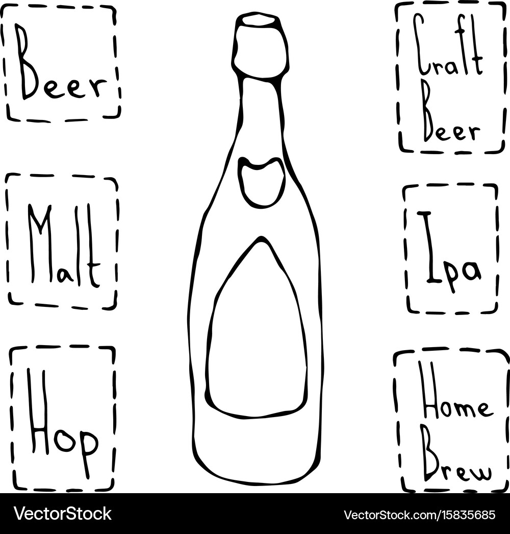 Craft beer bottle doodle style sketch hand drawn Vector Image