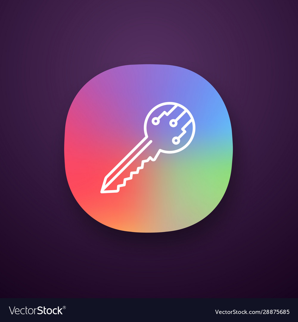 Private Digital Key App Icon Royalty Free Vector Image