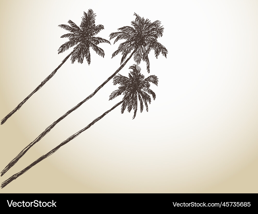 Sketch of palm tree hand drawn Royalty Free Vector Image