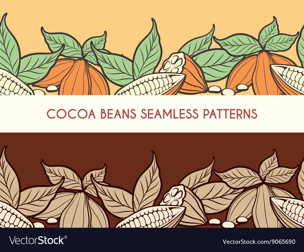 Cocoa beans seamless patterns Royalty Free Vector Image