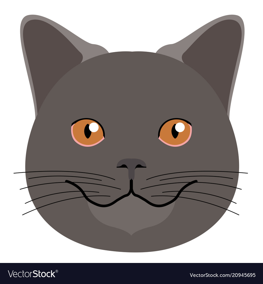 Avatar of a cat breeds Royalty Free Vector Image