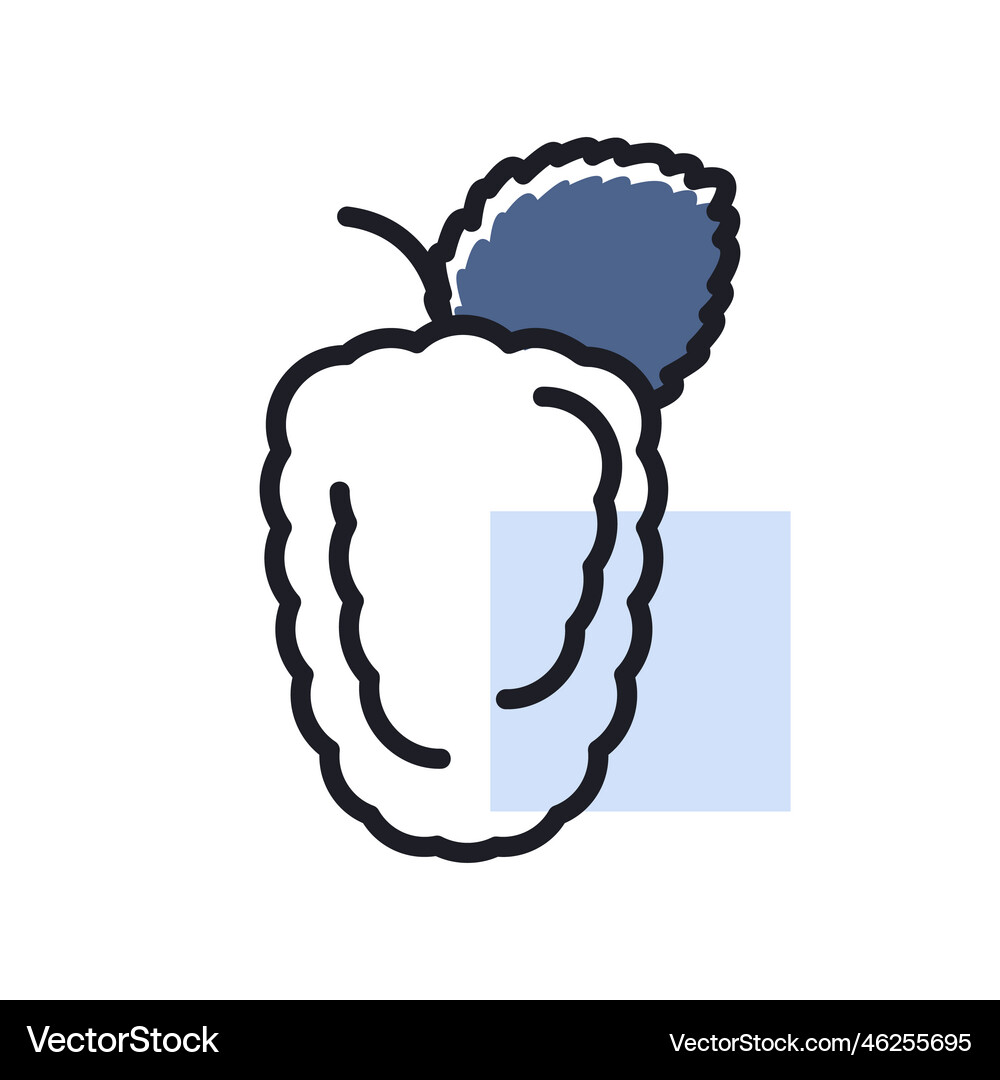Mulberry fruit with leaves icon graph symbol Vector Image