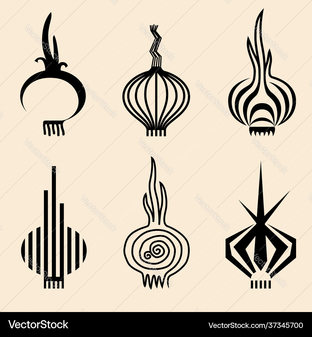Set onion icons in different graphic styles Vector Image