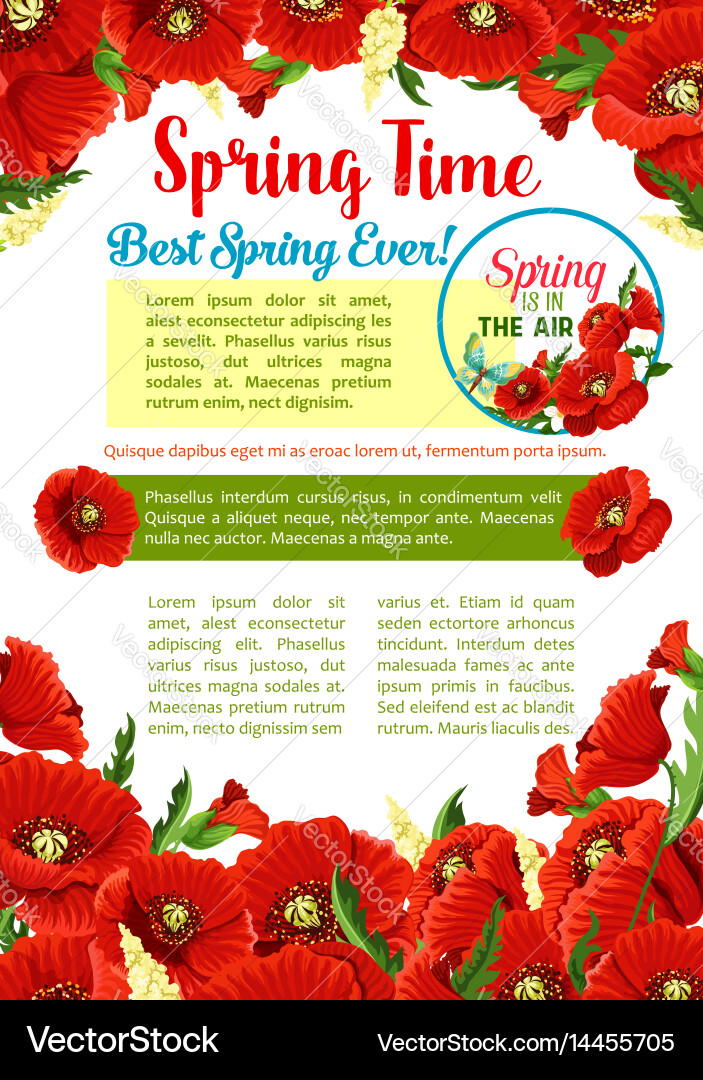 Spring season flower greeting poster template Vector Image