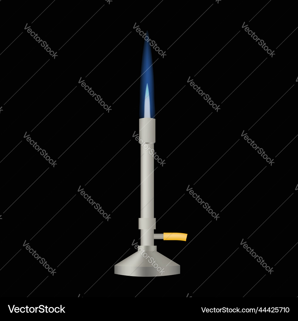 Bunsen burner lab with flame Royalty Free Vector Image