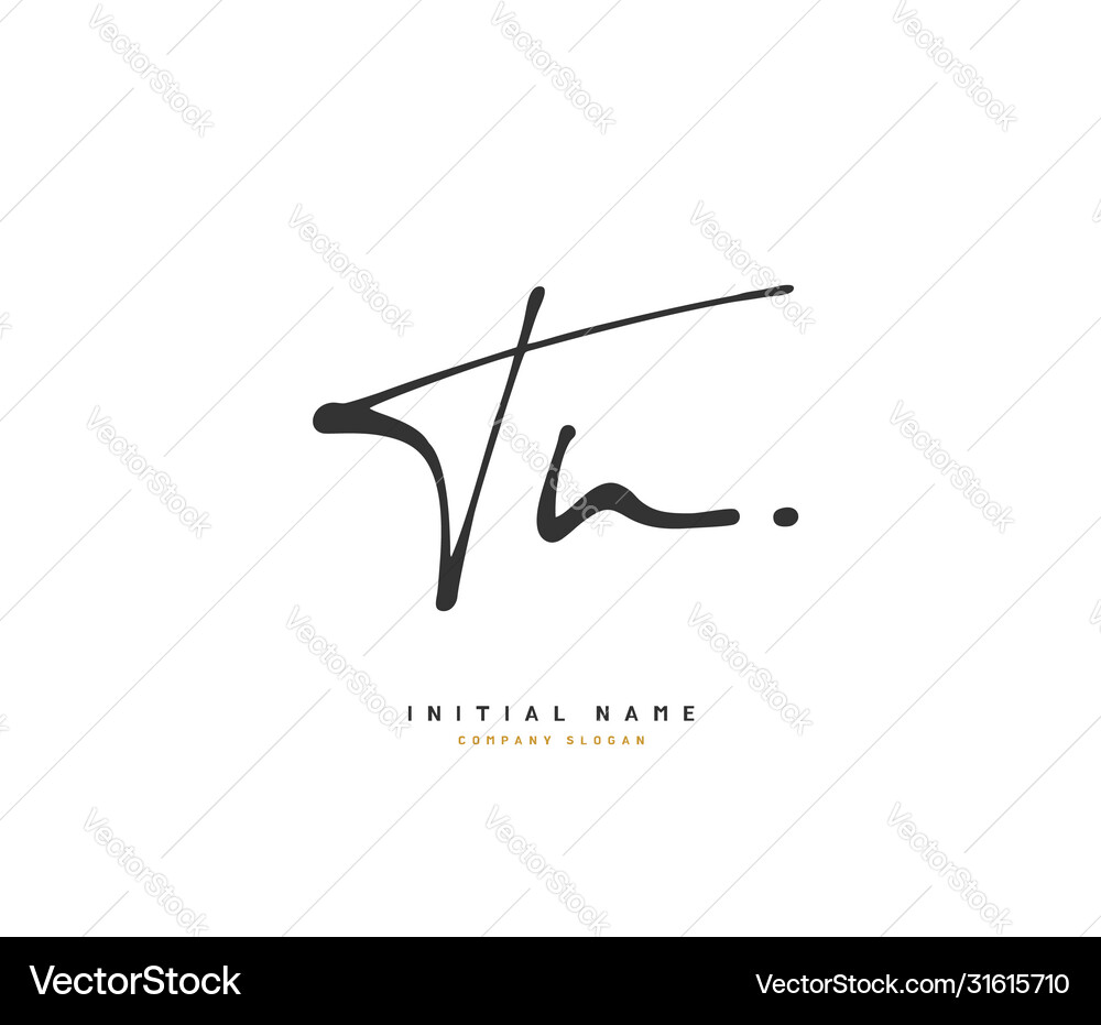 T n tn beauty initial logo handwriting Royalty Free Vector