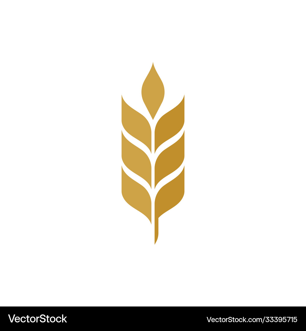 Agriculture wheat icon design Royalty Free Vector Image