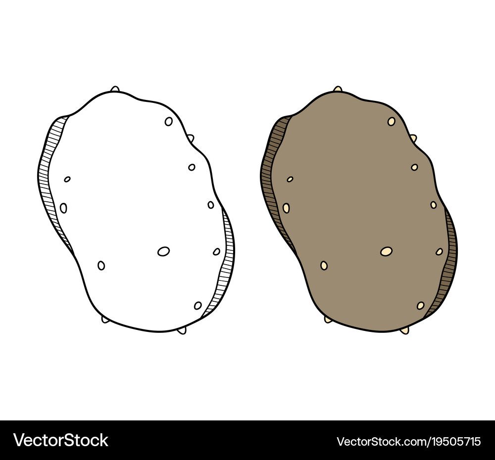 Potato vegetable black and white Royalty Free Vector Image