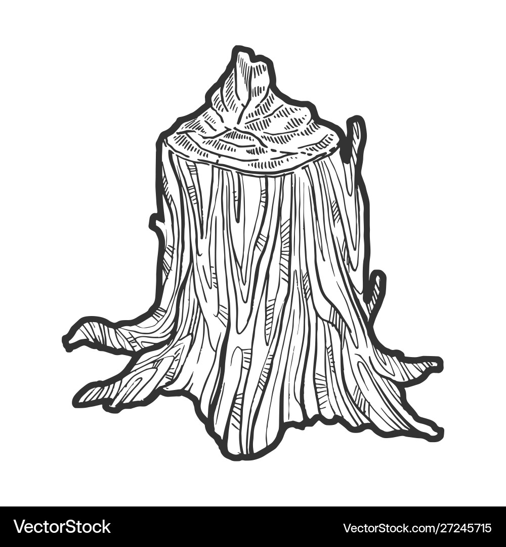 Stump made beaver sketch engraving Royalty Free Vector Image