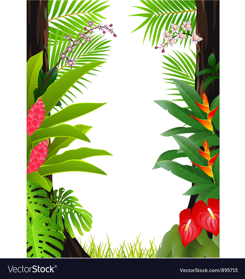 Tropical forest background Royalty Free Vector Image