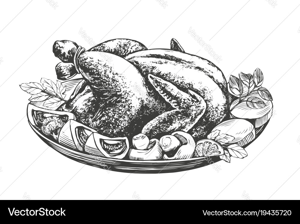 Roasted turkey chickenwith ingredients hand Vector Image